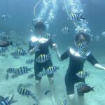 Bali Seawalker - What to Expect from the Bali Seawalker Experience