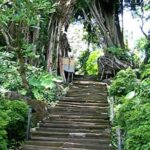 Bali Shaman,Palm Reading,& Spiritual - The Itinerary: What to Expect