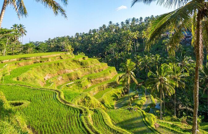 Bali Silver Jewelry Class and Ubud Countryside Tour - What’s Included and What’s Not
