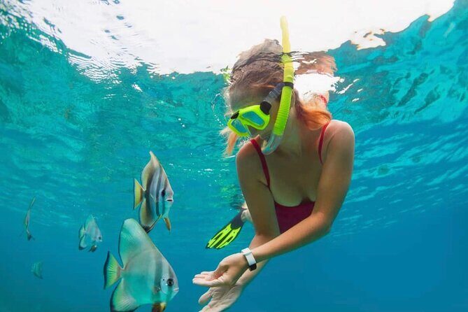 Bali Snorkeling at Blue Lagoon with Transport and Lunch - The Itinerary Breakdown