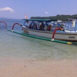 Bali Snorkling Blue Lagoon Beach with Lunch & Private Transport - What To Expect from the Bali Snorkeling Tour