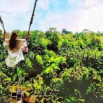 Bali Swing and Quad Bike ATV Ride Adventure - Logistics and Practicality: Transport, Timing, and Comfort