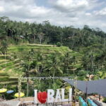 Bali Swing Packages and Kintamani Mt Batur Volcano View - Authentic Experiences and Traveler Feedback