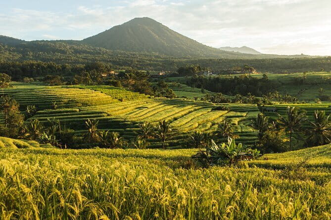 Bali Tanah Lot, Jatiluwih Rice Terraces, and Ulun Danu Beratan - Who Should Consider This Tour?
