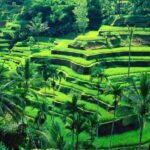 Bali Temples and Rice Terraces Tour - Detailed Itinerary & What to Expect