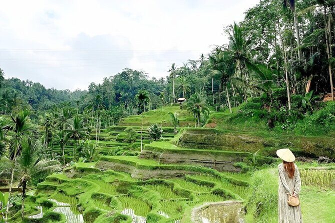 Bali Tour : Best Attractions in Ubud with Rice Terrace - Who Should Consider This Tour?