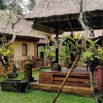 Bali Tour: Kintamani Tour with Lunch - Optional Stops and Flexibility
