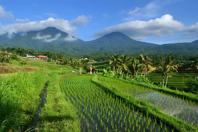 Bali Tour-Packages 3 Days: Best Bali Short Trip - Who Will Love This Tour?