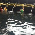 Bali Tours - Authentic Experiences & Real Traveler Insights