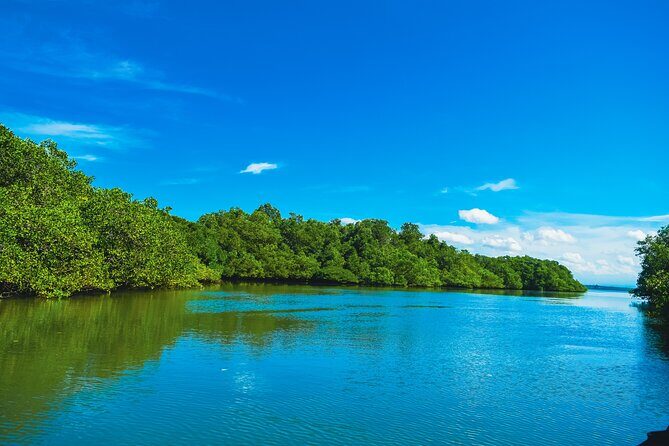 Bali Tropical Snorkeling and Mangrove Cruise - What’s Included and What’s Not