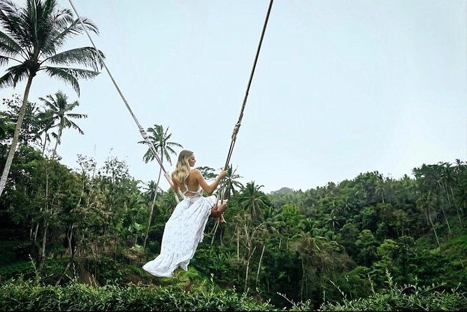 Bali: Ubud Highlights Tour with Private Guide and Transfers - Who Is This Tour Best For?