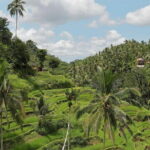 Bali Unique 2 Days Tour Packages - Day 1 – Sunset and Seafood at Uluwatu and Jimbaran Bay