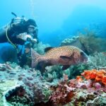 Bali Water Sport Packages in Tanjung Benoa Nusa Dua - Authentic Feedback from Travelers