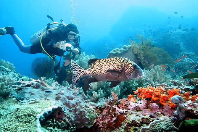 Bali Water Sport Packages in Tanjung Benoa Nusa Dua - Authentic Feedback from Travelers