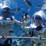 Bali Water Sport: Parasailing - Sea Walker -Jet Ski - Fly Board - Who Should Consider This Tour?