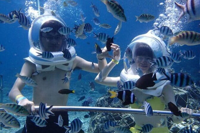 Bali Water Sport: Parasailing - Sea Walker -Jet Ski - Fly Board - Who Should Consider This Tour?