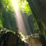 Bali Waterfalls and Temples Tour - Who Should Consider This Tour?