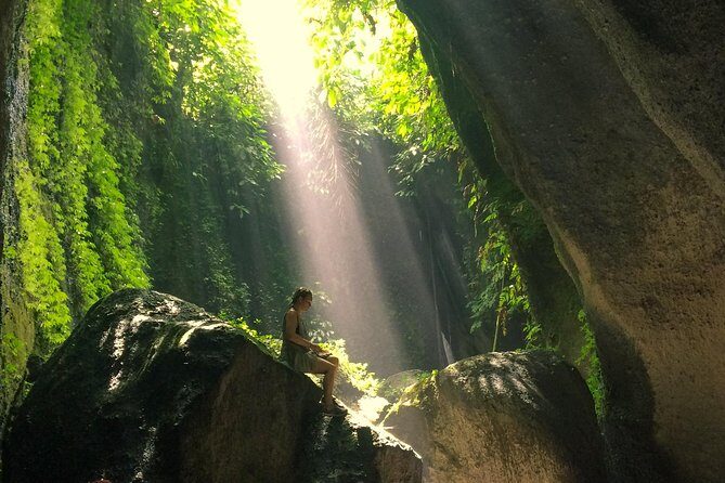 Bali Waterfalls and Temples Tour - Who Should Consider This Tour?