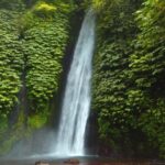 Bali Waterfalls Tour - One Day Private Tour - Practical Tips for Your Waterfalls Day
