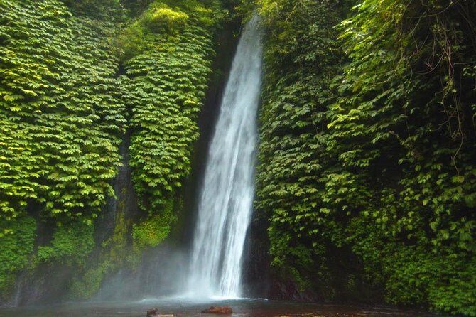 Bali Waterfalls Tour - One Day Private Tour - Practical Tips for Your Waterfalls Day