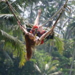 Bali Waterfalls Tours - Practical Details and What to Expect