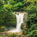 Balinase Cooking Class and Private Ubud Day Tour - Authentic Experience and Value