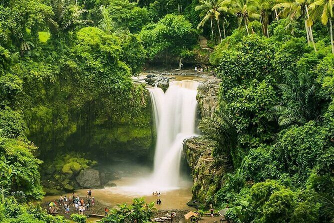 Balinase Cooking Class and Private Ubud Day Tour - Authentic Experience and Value