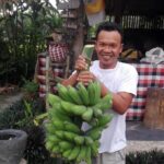 Balinese Cooking Class at Organic Farm - Supporting a Community and Learning More