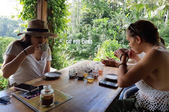 Balinese Healing, Purifying Bath and Waterfall - Discovering Bali’s Spirit and Scenic Splendors