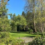 Ballard Locks Walking Activity Seattle - The Value of the Experience