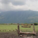 Baluran Trip - Authentic Traveler Insights