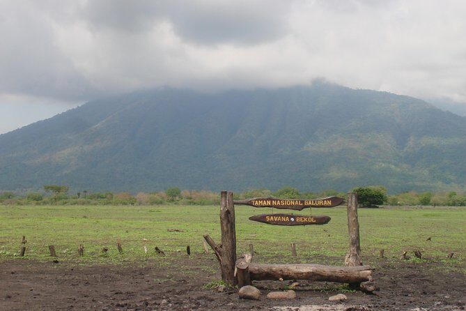 Baluran Trip - Authentic Traveler Insights