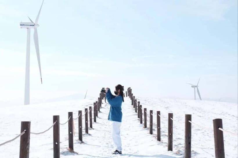 Balwangsan Cable Car & Samyang Ranch One Day Tour - What You Can Expect