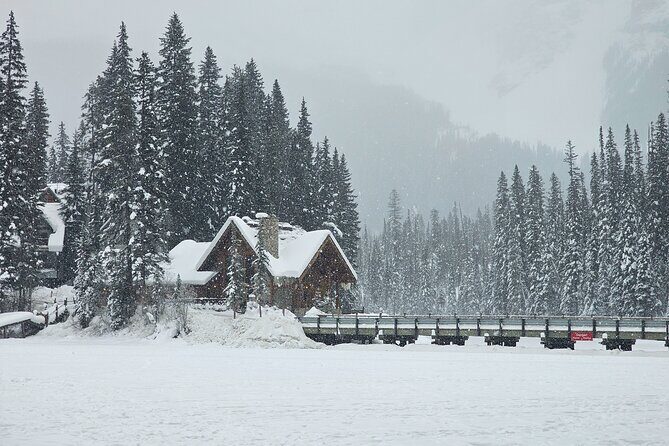 Banff and Yoho Winter Wonderland Private Tour - The Value of a Private, Customizable Experience