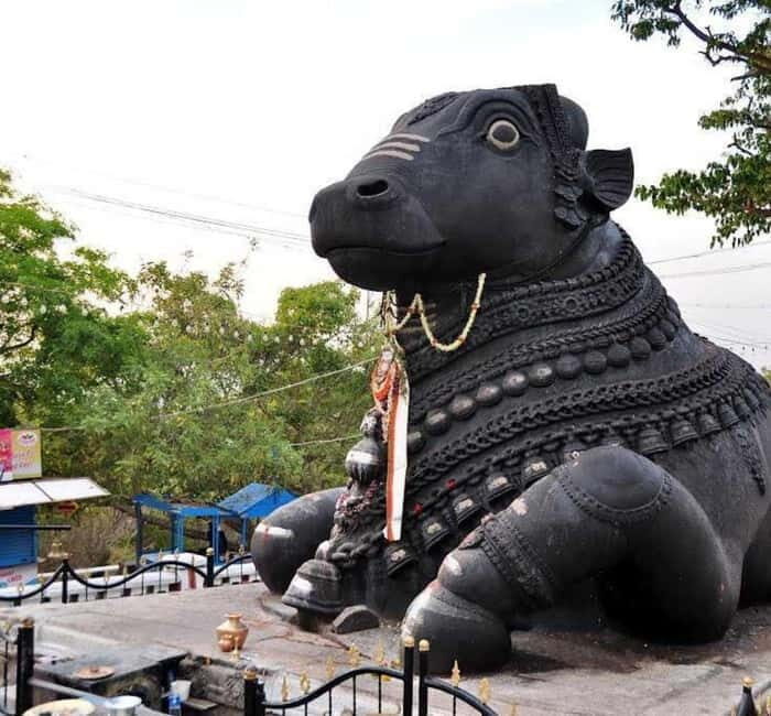 Bangalore: Full-Day Guided City Tour w/ Pickup - Authenticity & Value