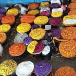 Bangalore Guided full day Tour with Lunch CULTURE/HISTORY/TEMPLES - Why Is This Tour a Great Choice?