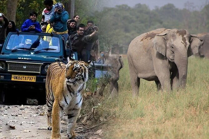 Bangalore to Jim Corbett: 3-Day Double Safari Wildlife Tour - FAQs
