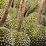 Bangkok Chinatown Night Food Tour - Detailed Breakdown of the Itinerary