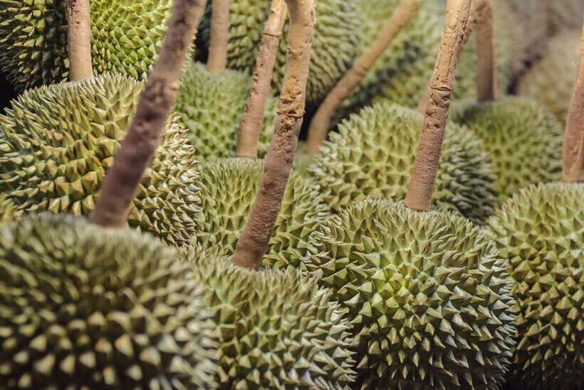 Bangkok Chinatown Night Food Tour - Detailed Breakdown of the Itinerary