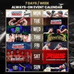 Bangkok: Muay Thai Boxing Tickets at Rajadamnern Stadium - Why This Tour Offers Great Value