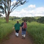 Bangkok to Ayutthaya and Khao Yai National park (4 days) - Day 2: The Ancient City of Ayutthaya