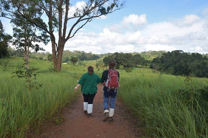 Bangkok to Ayutthaya and Khao Yai National park (4 days) - Day 2: The Ancient City of Ayutthaya
