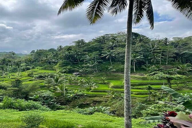 Banyumala Waterfall, Jatiluwih, Ulun Danu and Tanah Lot tours - Who Is This Tour Best For?