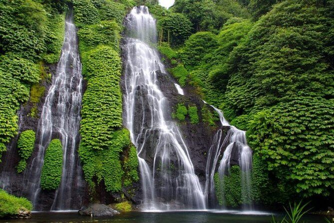 Banyumala Waterfall Tour - What You’ll See and Experience: A Step-by-Step Breakdown