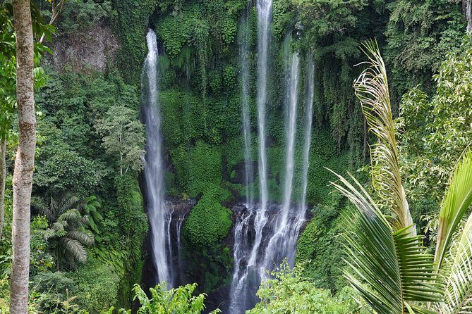 Banyuwana & Banyumala Waterfalls Tour (Private & All-Inclusive ) - Banyu Wana Amertha Waterfall: A Step Up in Adventure