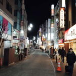 Bar Hopping in Odawara A Guide to Local Spots - Final Thoughts