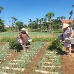 Basket Boat-Buffalo Ride-Farming-Pottery Making &Marble Mountains - Practical Considerations