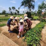Basket Boat -Buffalo -Small Ethic Group Gallery & Marble Mountain - Exploring the Itinerary in Detail