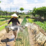 Basket Boat & Cooking Class Bike Tour From Hoian - The Coconut Village & Basket Boat Ride