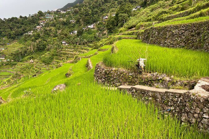 Batad Guided Tour - A Deep Dive into the Batad Guided Tour Experience